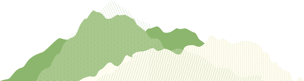 EF EPI 2020 - EF English Proficiency Index